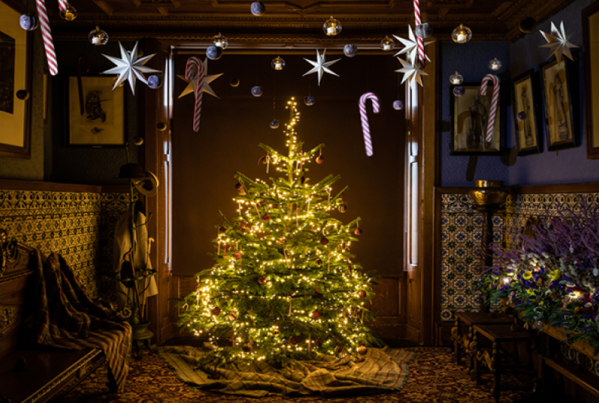 The UK's Tallest Living Christmas Tree at Cragside and Festive Events ...