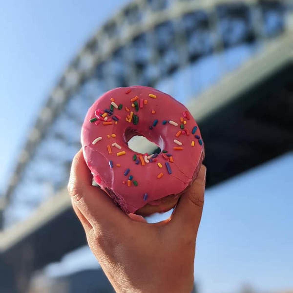12 Doughnut Shops in Newcastle, North Tyneside, Leeds, York, Hull and ...