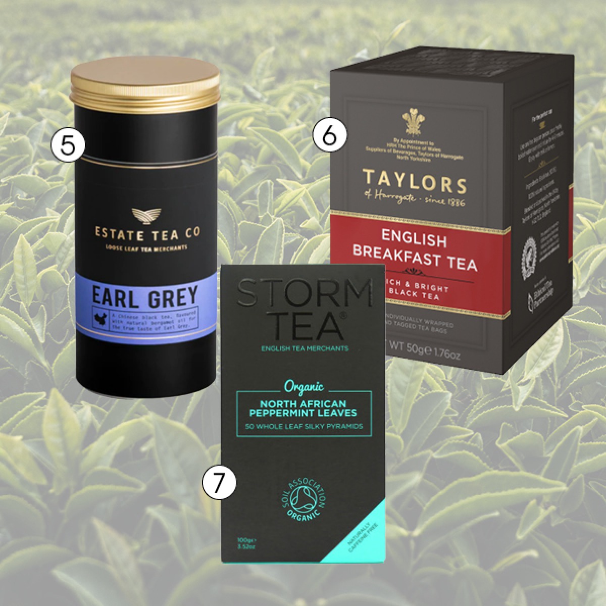 Celebrate National Tea Day with these Tea-Lover s Must-Haves | Living North