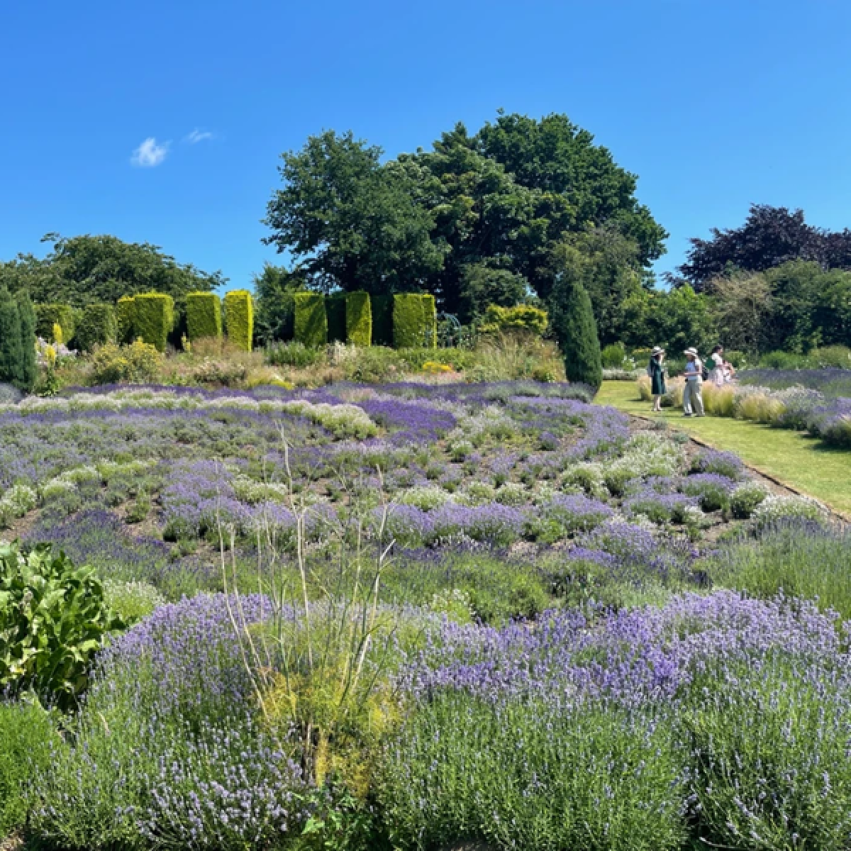 The Best Gardens to Visit in Yorkshire including Castle Howard, Temple ...