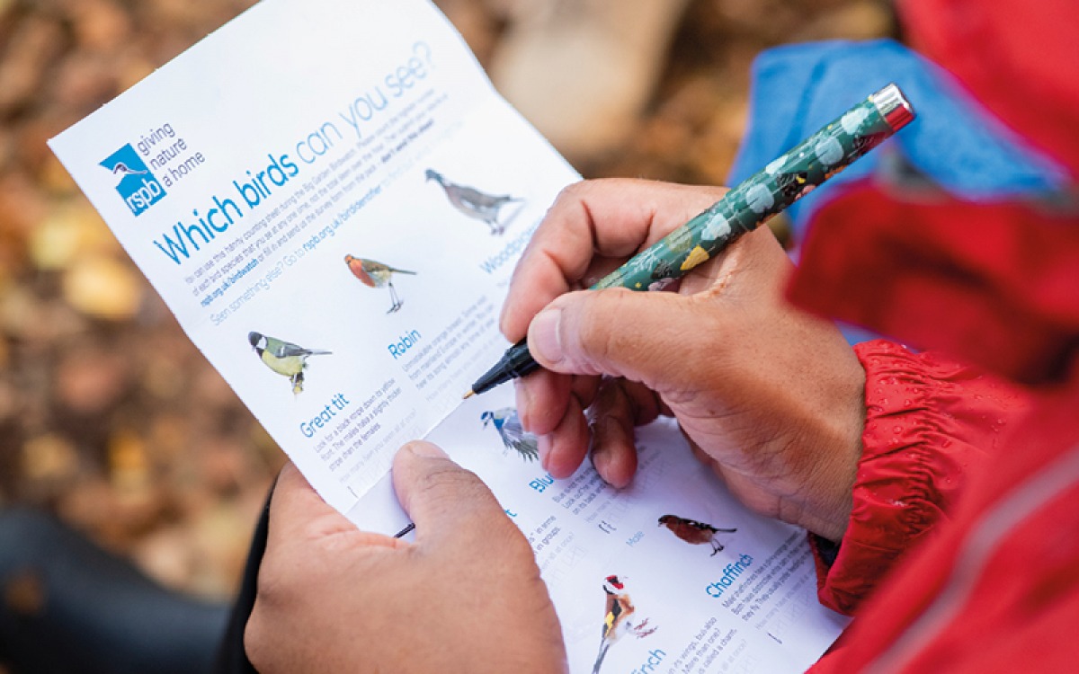 The Royal Society for the Protection of Birds' Big Garden Birdwatch is ...