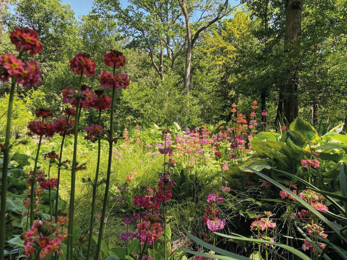 The Best Gardens to Visit in the North East this Spring | Living North