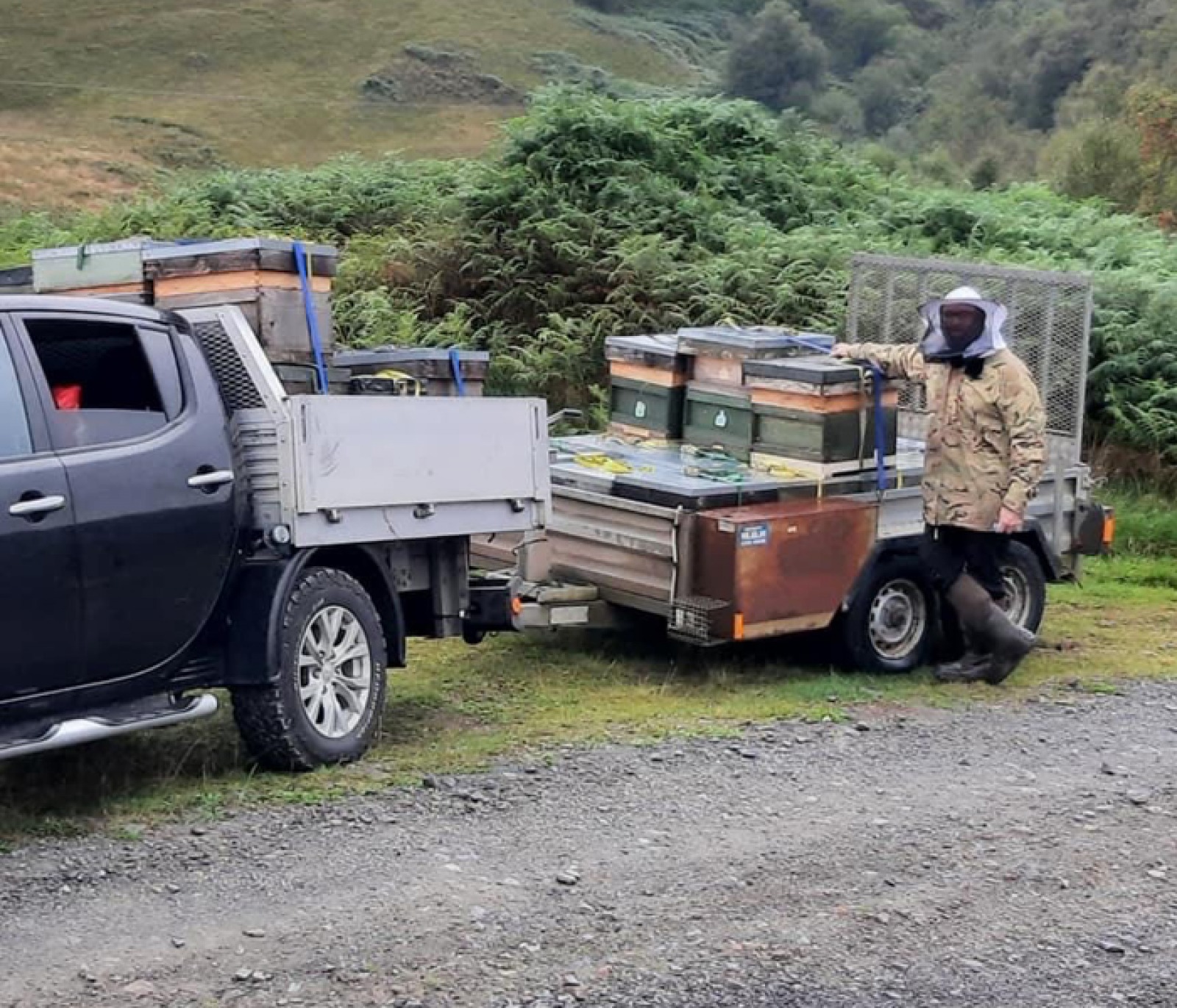 World Bee Day: The Travelling Bee Company in Gateshead Explain What we ...