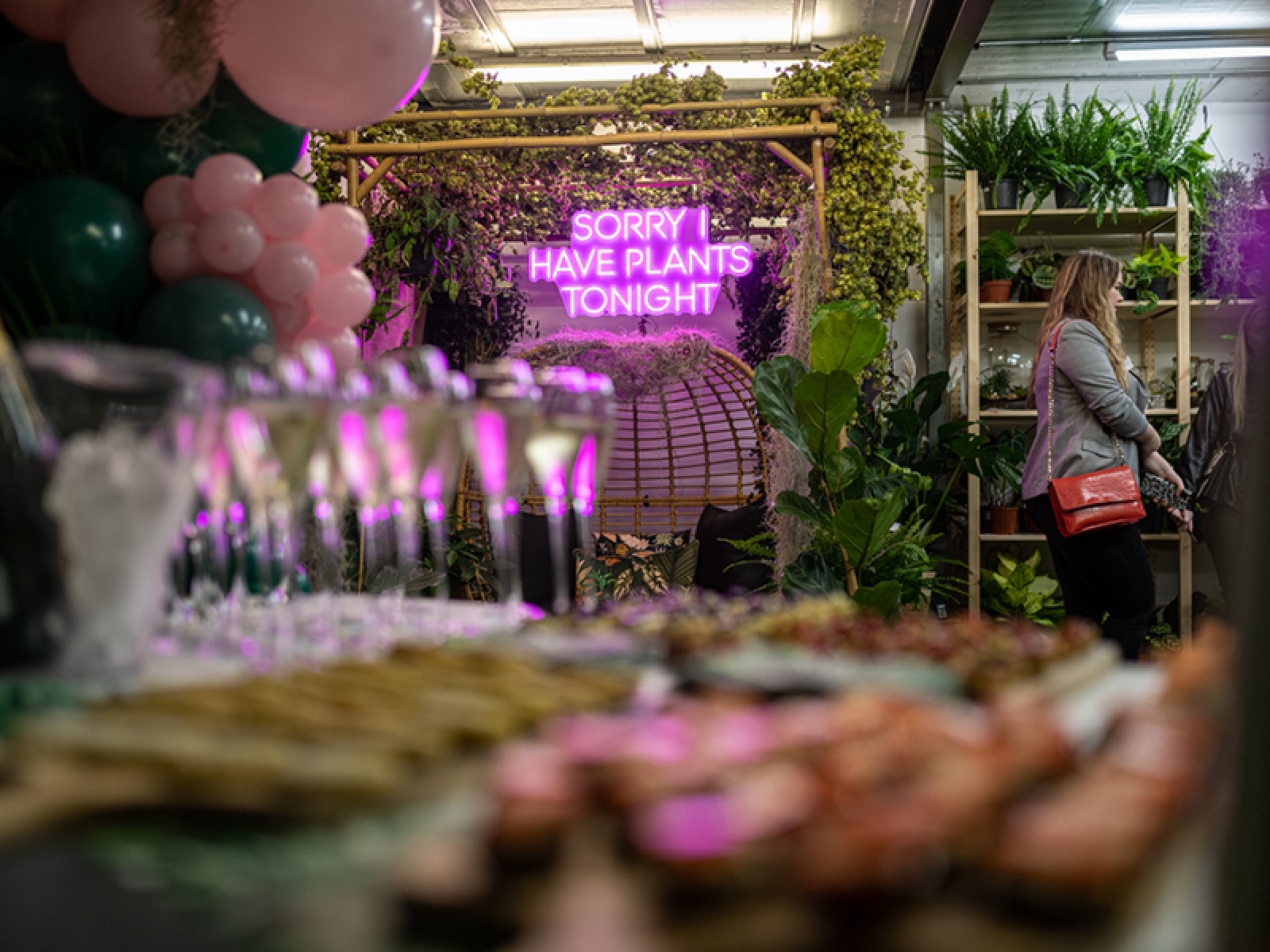 Meet Anna Garbutt Owner of Poppy s Potting Shed | Living North