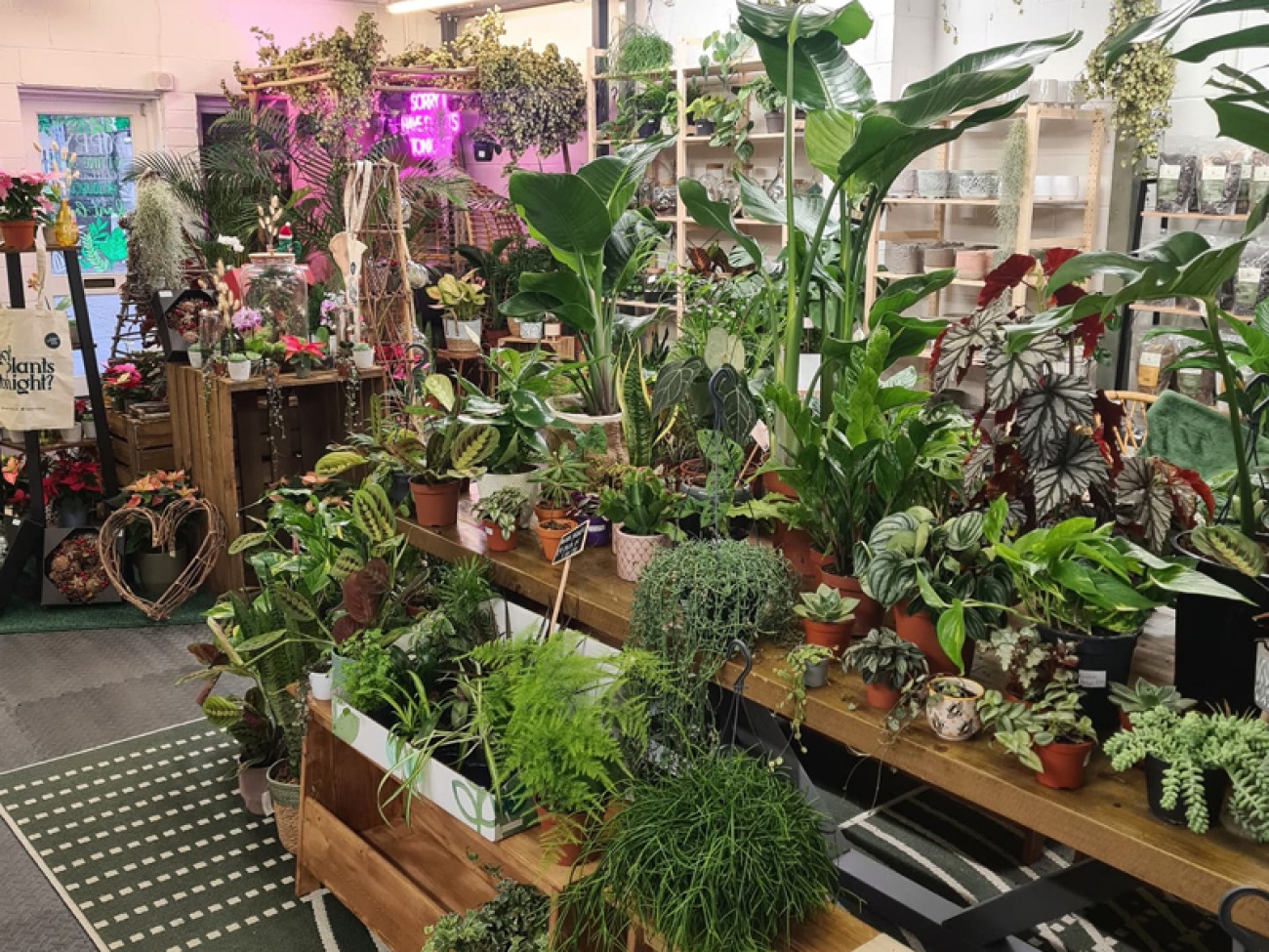 Meet Anna Garbutt Owner of Poppy s Potting Shed | Living North