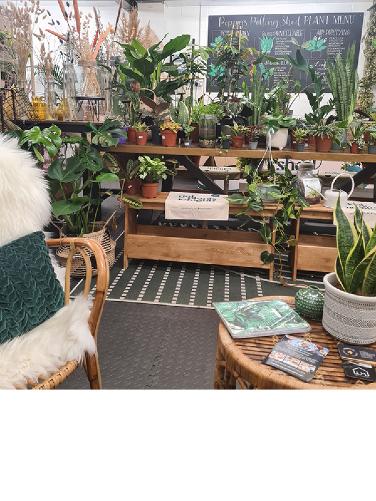 Meet Anna Garbutt Owner of Poppy s Potting Shed | Living North