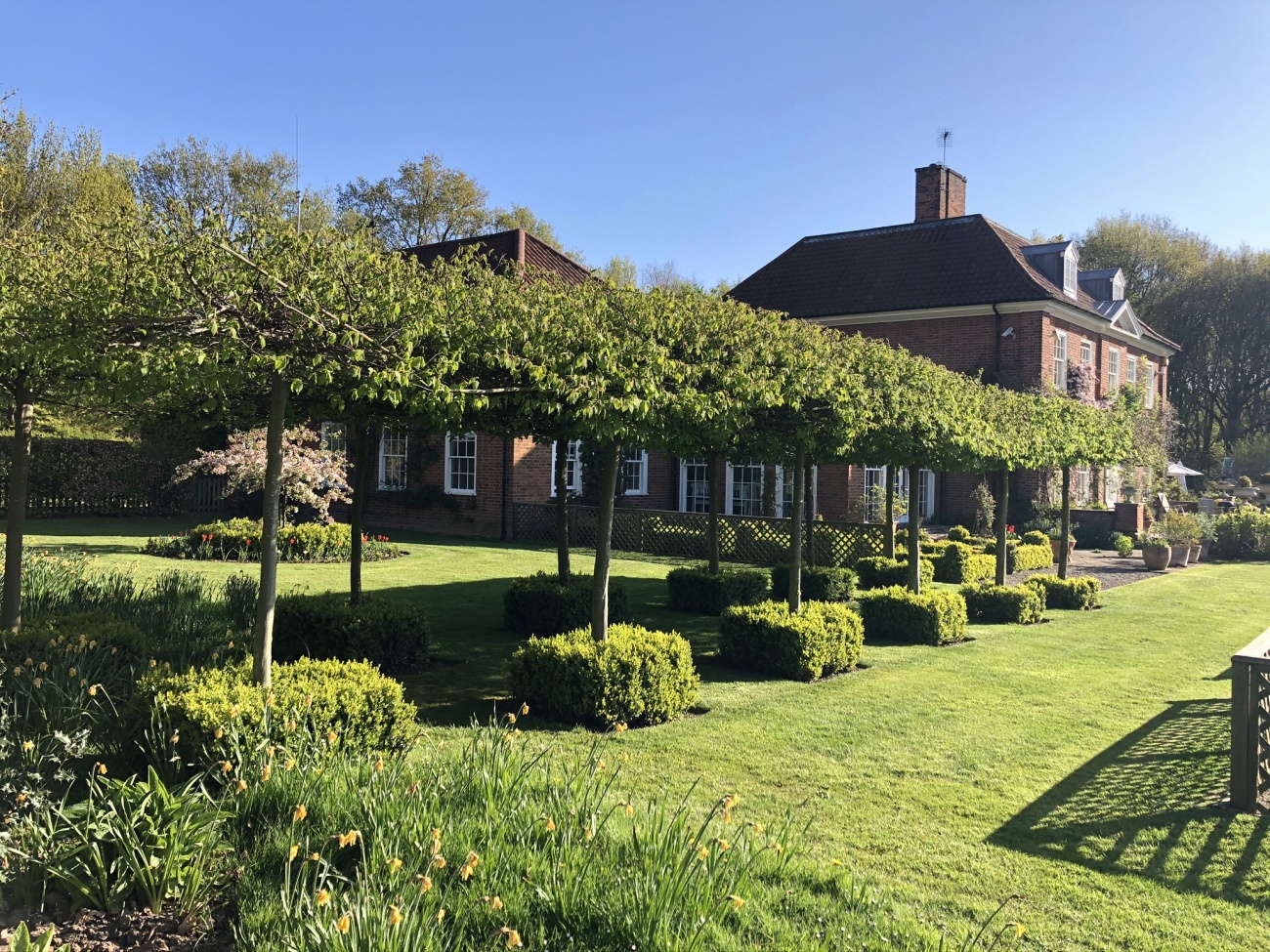 Sasha York Shares Her Gardening Tips | Living North