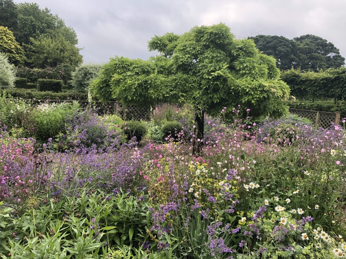 Sasha York Shares Her Gardening Tips | Living North