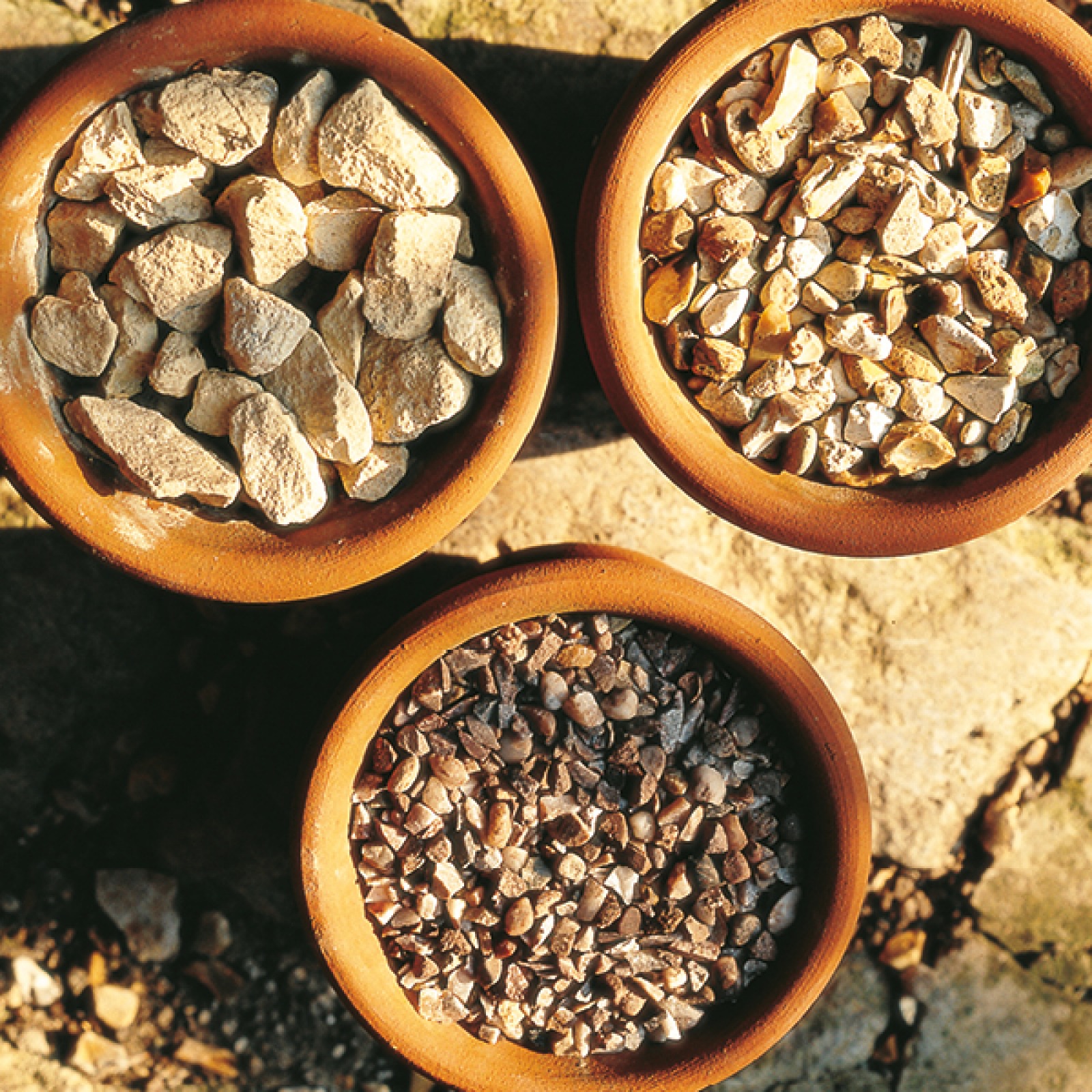 How to Create Your Own Mediterranean-Style Garden | Living North