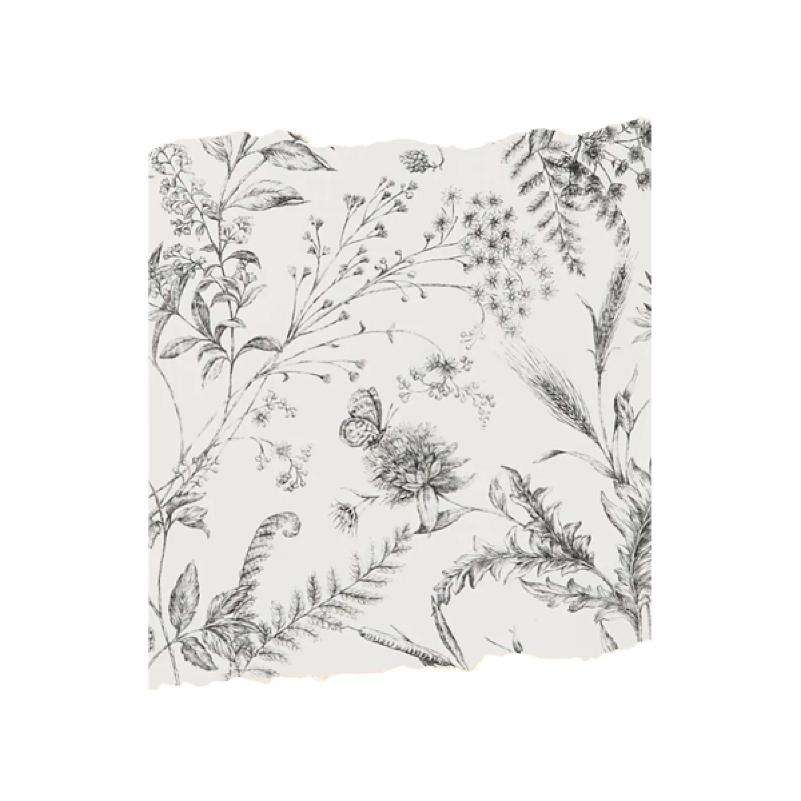 Add French Style to your Home with Toile Wallpapers | Living North