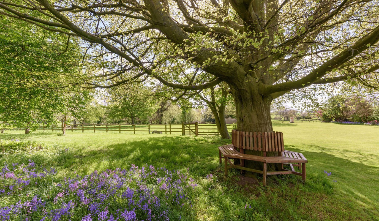 Take a Look Inside This Traditional Northumbrian Farmhouse with ...