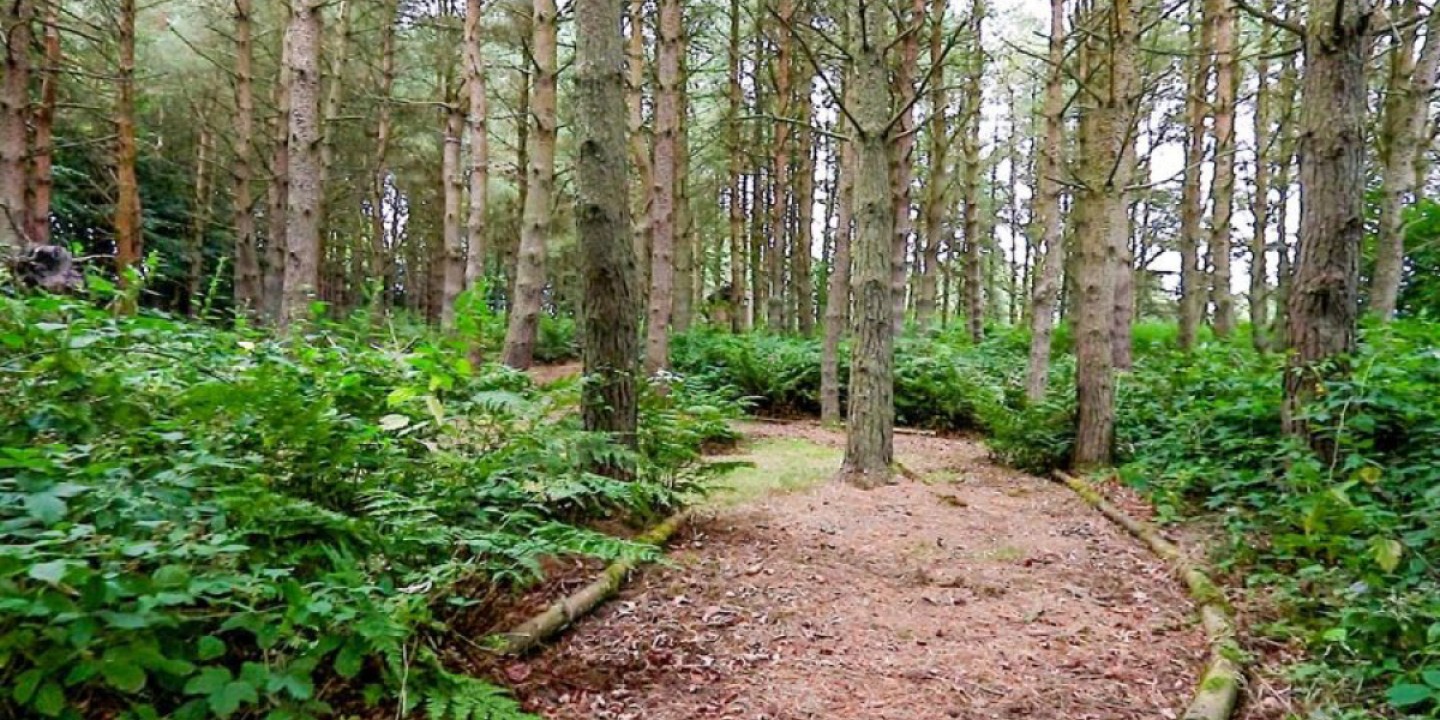 See Inside Rothely Lake View Lodge near Longwitton, Northumberland ...
