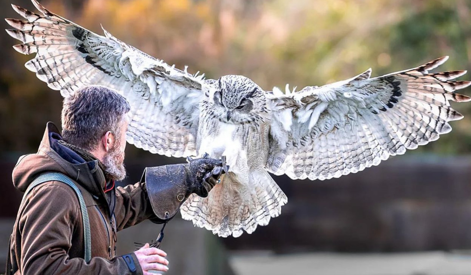 Where to See Animals and Wildlife Across Yorkshire this Summer | Living ...
