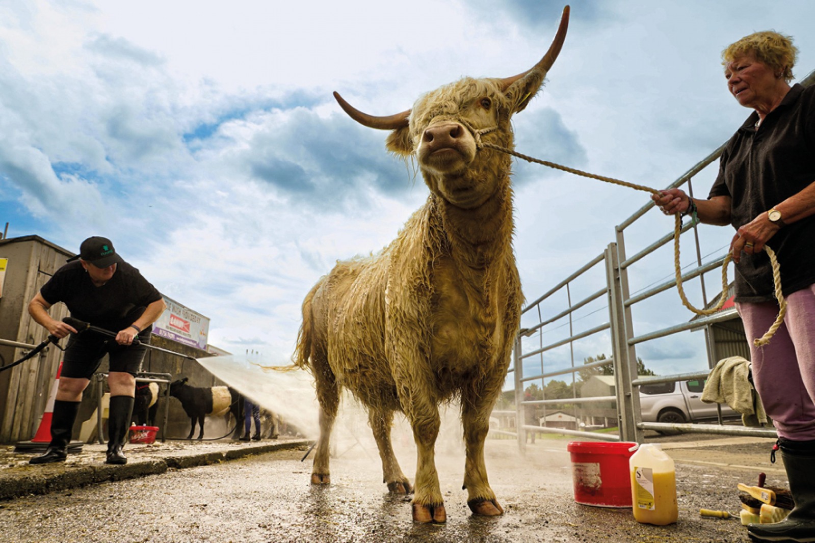 Interview With Cannon Hall Farmers Rob and Dave Nicholson on Great ...