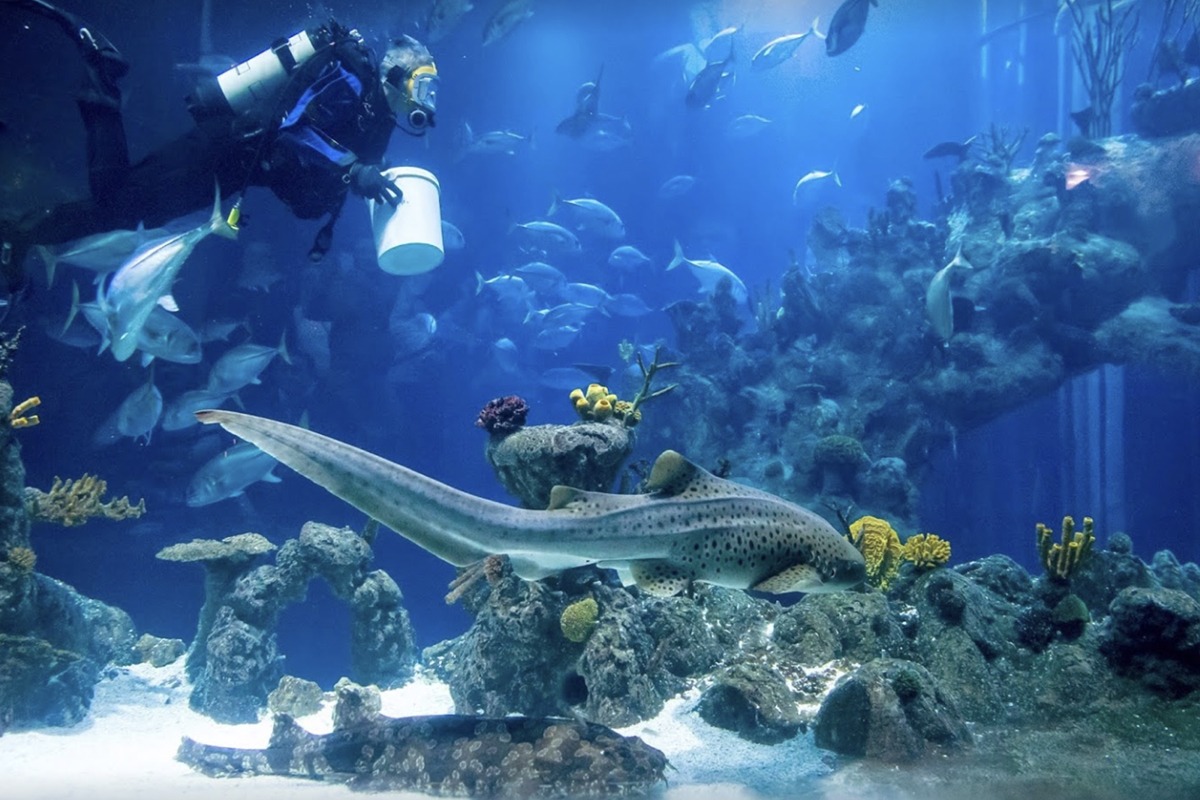 25 Great Days Out across Yorkshire | Living North