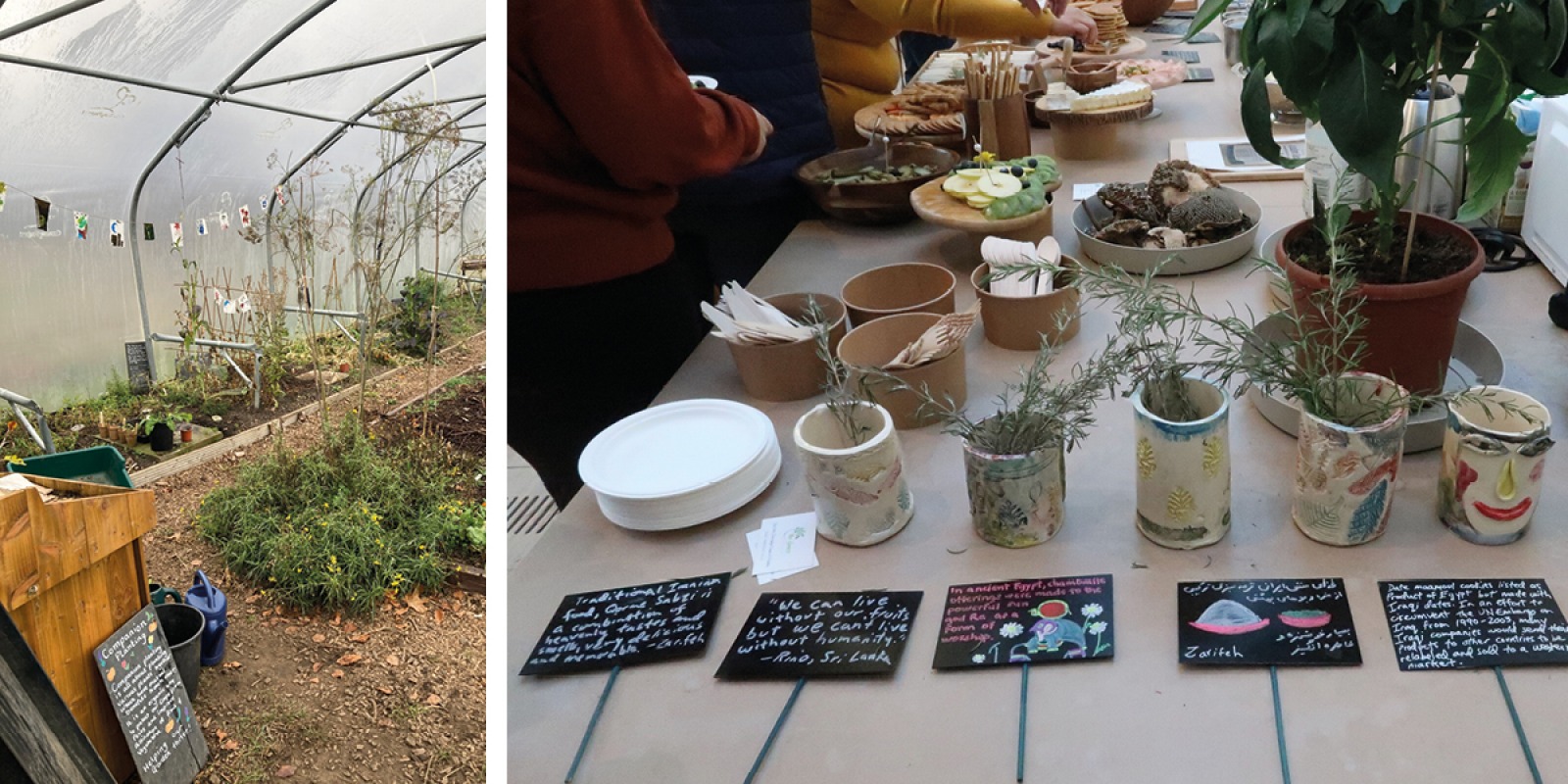 Read About the Comfrey Project, a Charity Using Allotments and ...