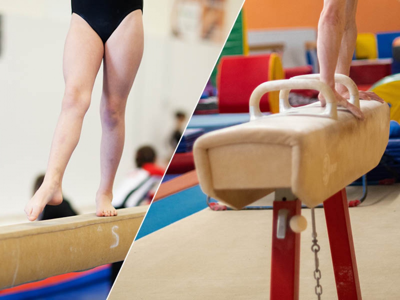 Inside the North East Gymnastics Studio with Inclusivity at its Heart ...