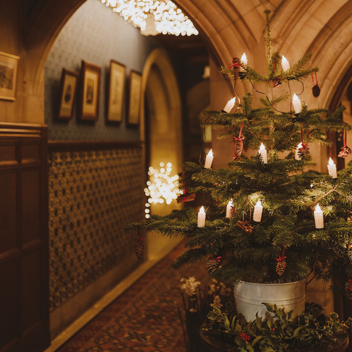 Behind the Scenes of Cragside House in Northumberland as they Prepare ...