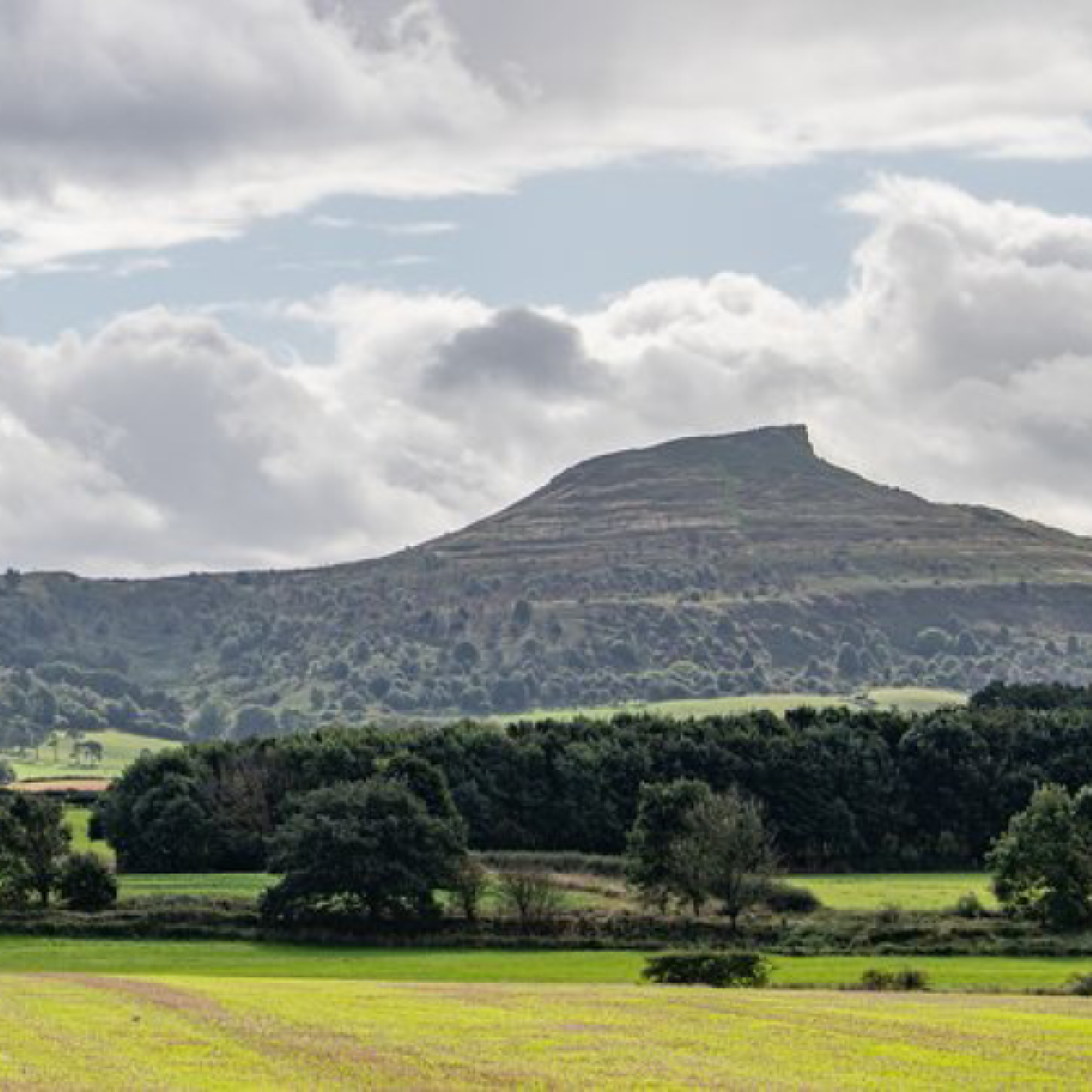 Best Forest and Woodland Walks in the North East and Yorkshire ...