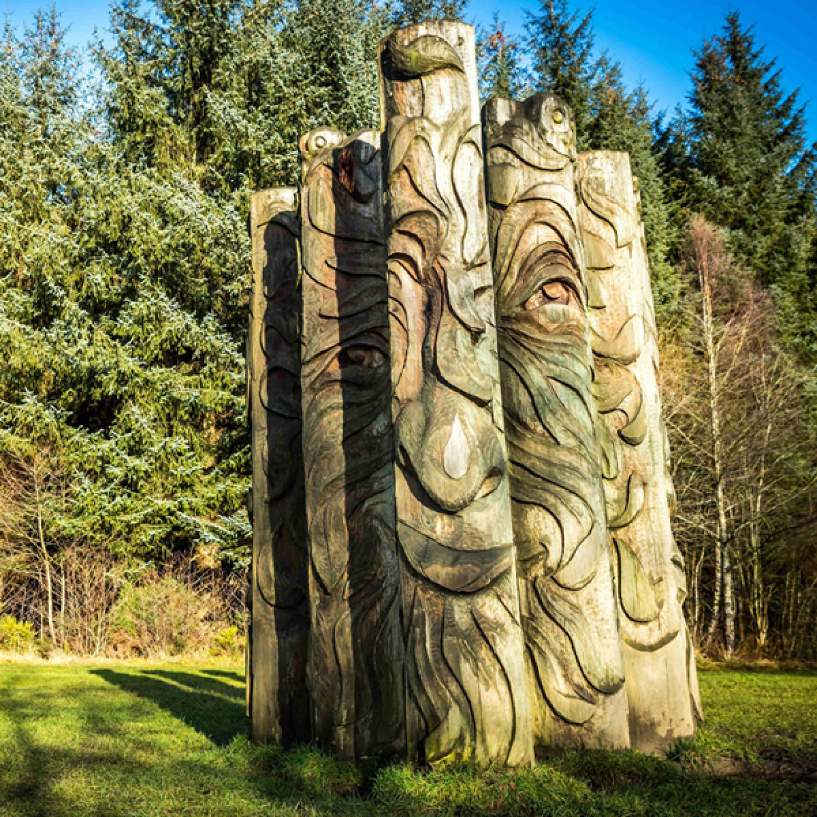 Best Forest and Woodland Walks in the North East and Yorkshire ...