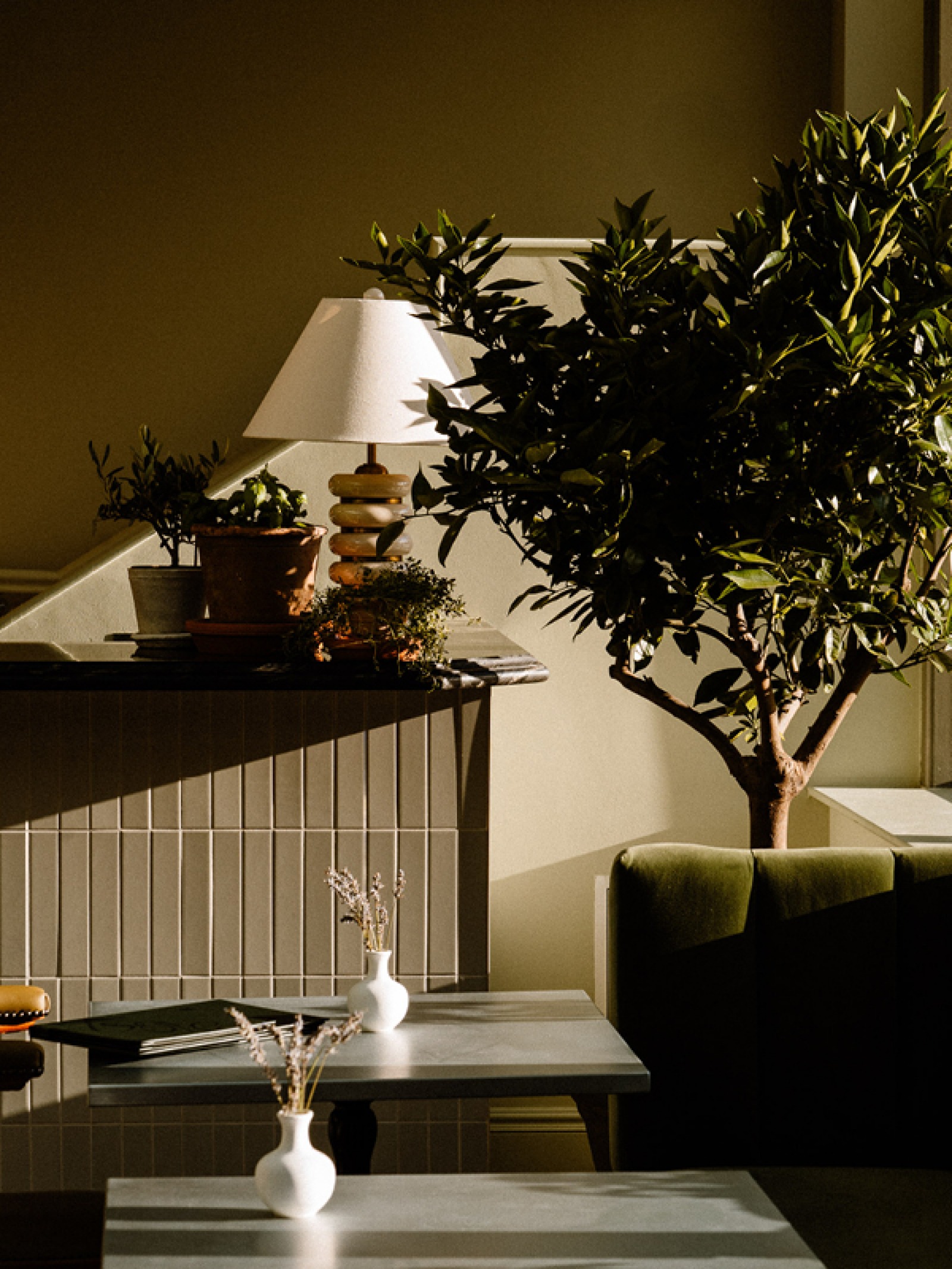 Review of Saltmoore New Hotel with Spa near Whitby, North Yorkshire ...