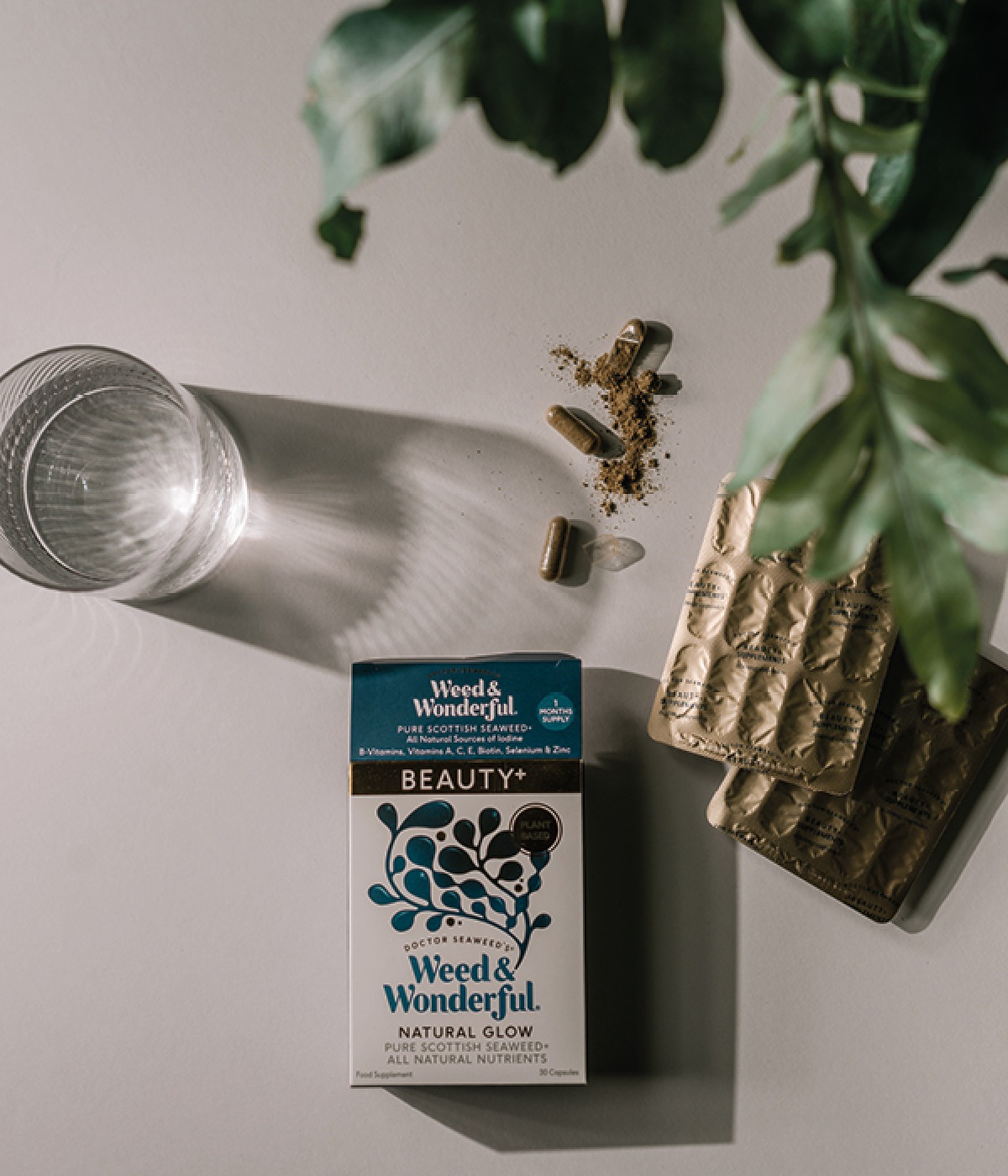 The Health Benefits of Seaweed with Whitley Bay's Doctor Seaweed ...