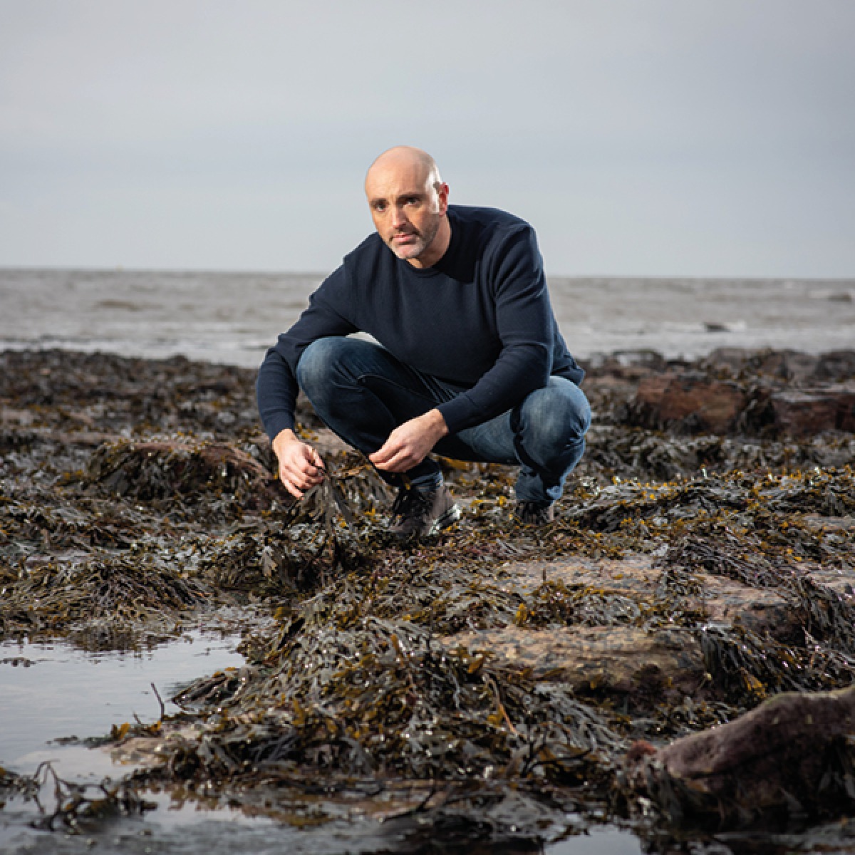 The Health Benefits of Seaweed with Whitley Bay's Doctor Seaweed ...