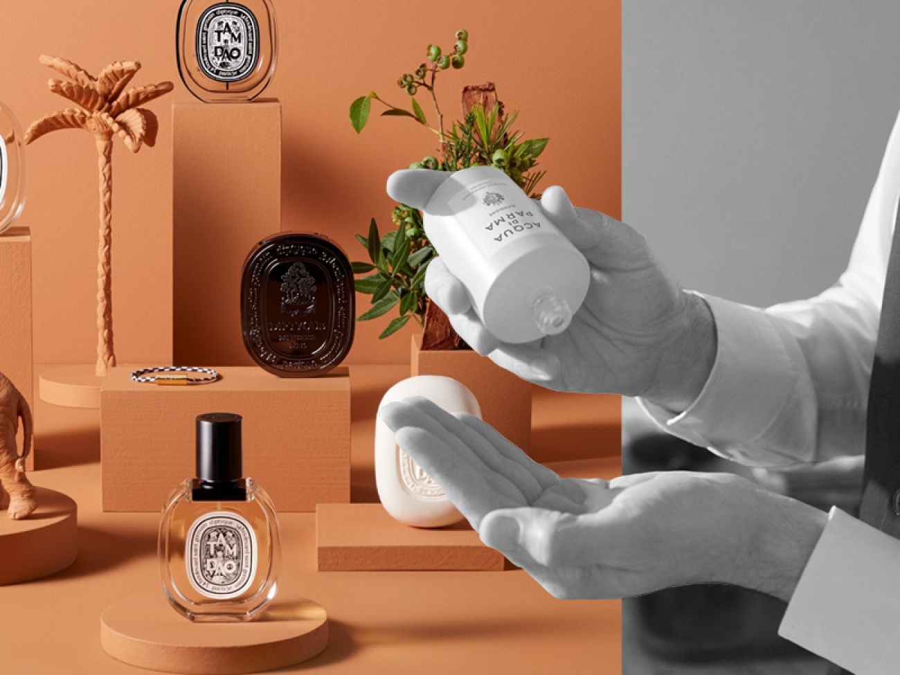 The Best Colognes For Spring | Living North