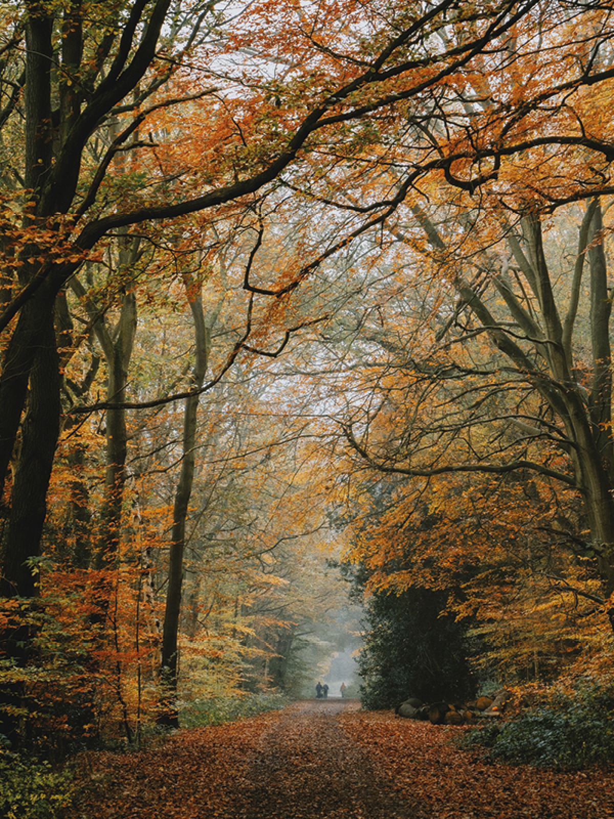 Autumnal Yorkshire Landscapes Captured by Sheffield-based photographer ...