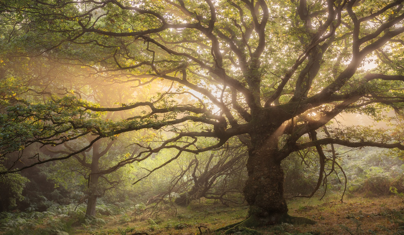 Photographer, Simon Baxter Captures the Yorkshire Moors in Seven ...