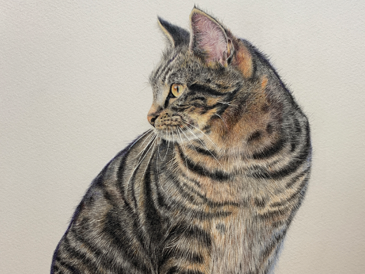 Meet Bonny Snowdon, the Ripon-based Entreprenuer who Created a £1 ...