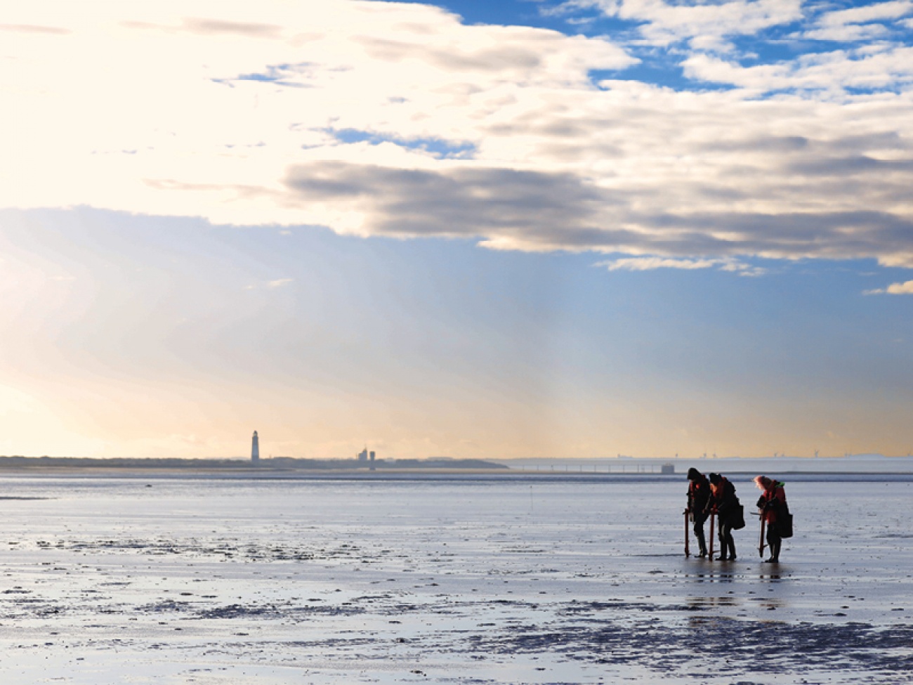 Yorkshire Wildlife Trust on the Wilder Humber Project, Oyster ...