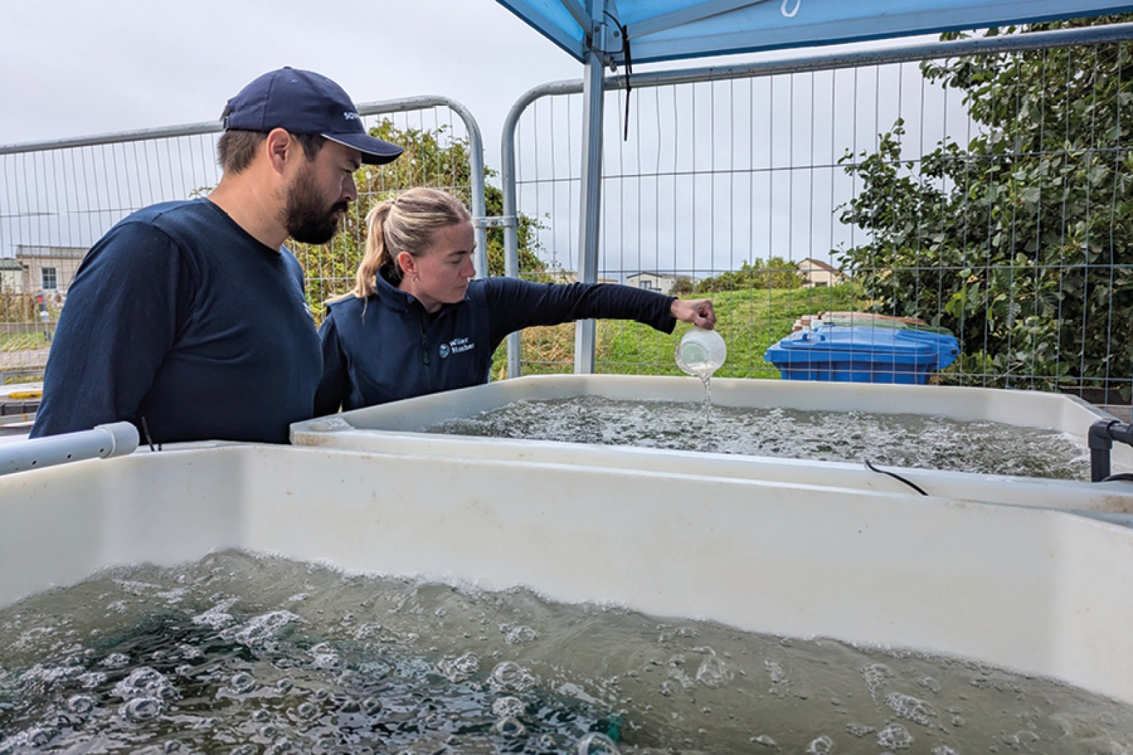 Yorkshire Wildlife Trust on the Wilder Humber Project, Oyster ...