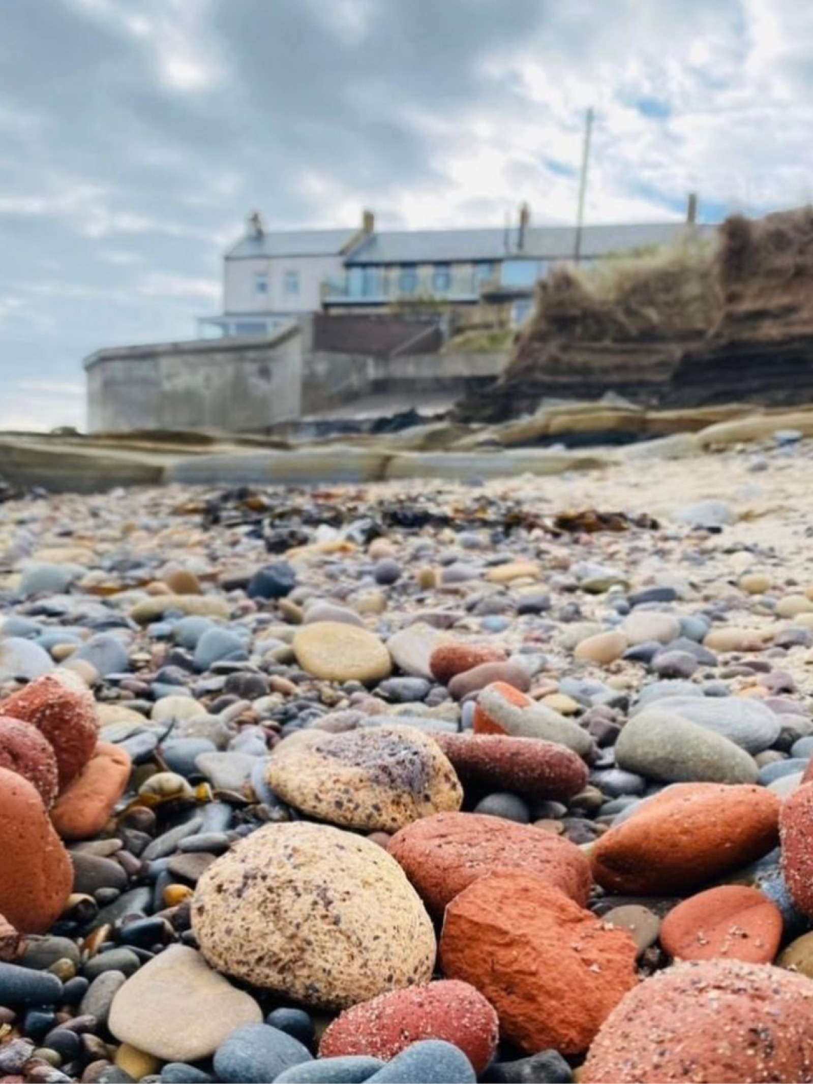 Meet Artist Katherine Renton from Amble who produces Environmentally ...