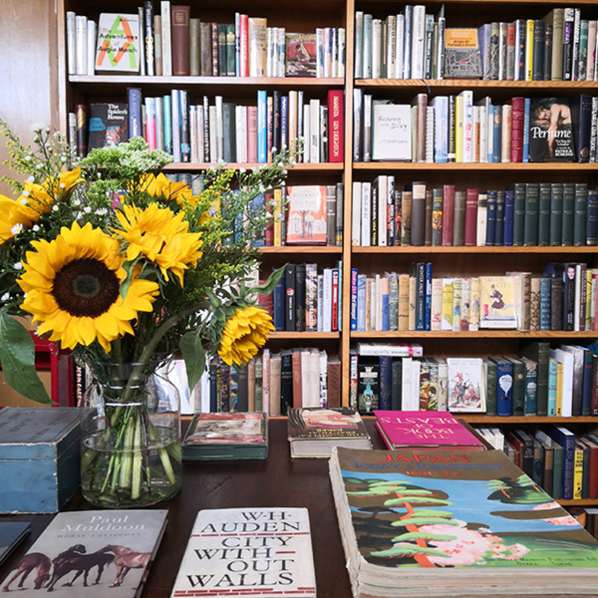 The Best New Bookshop in Whitley Bay | Living North