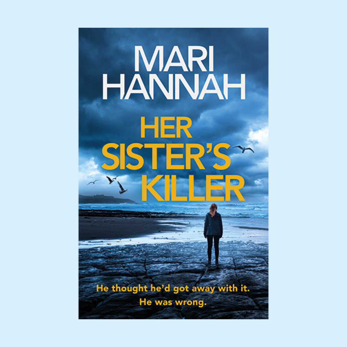 Northumberland Author Mari Hannah on New Novel and Bay Tales Live 2025 ...