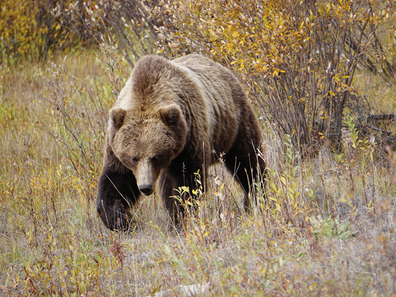Veteran Dan Smith Hopes To Become The First Person From the UK To ...
