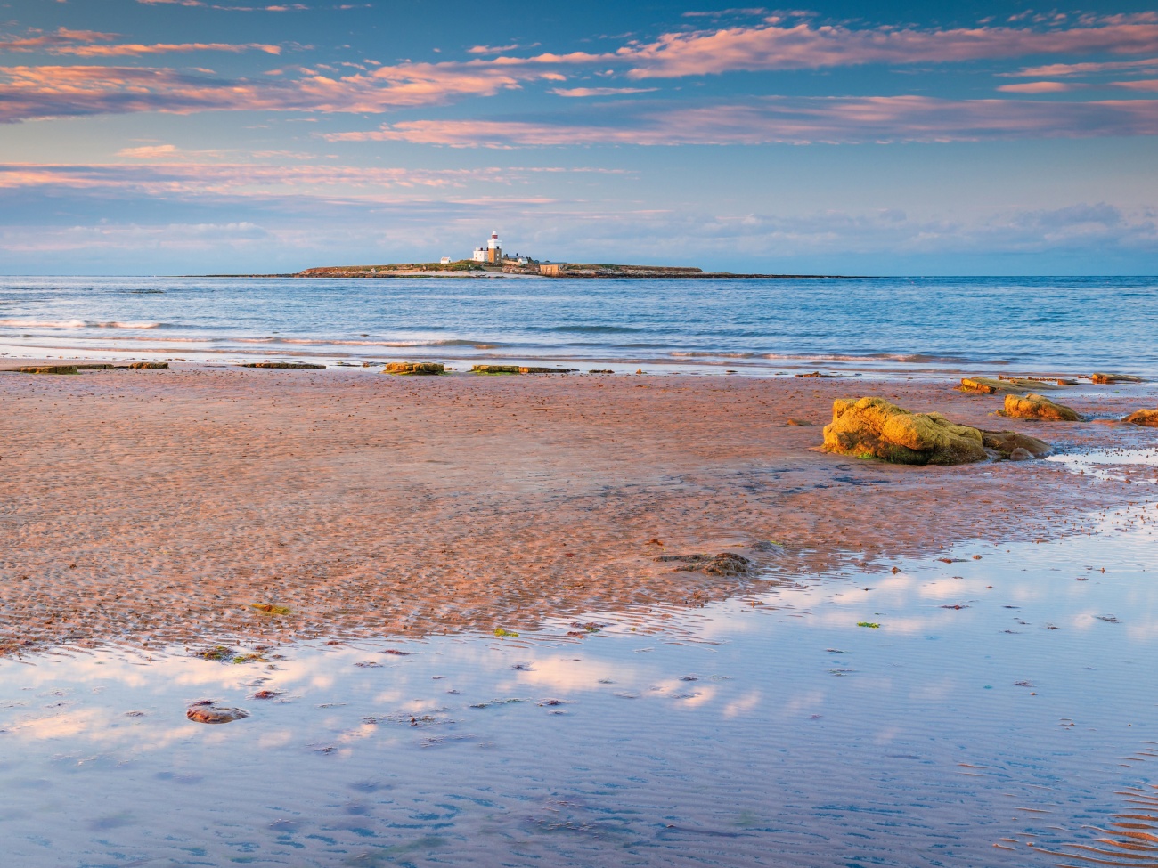 The Life and Work of Wardens at RSPB Coquet Island in Northumberland ...