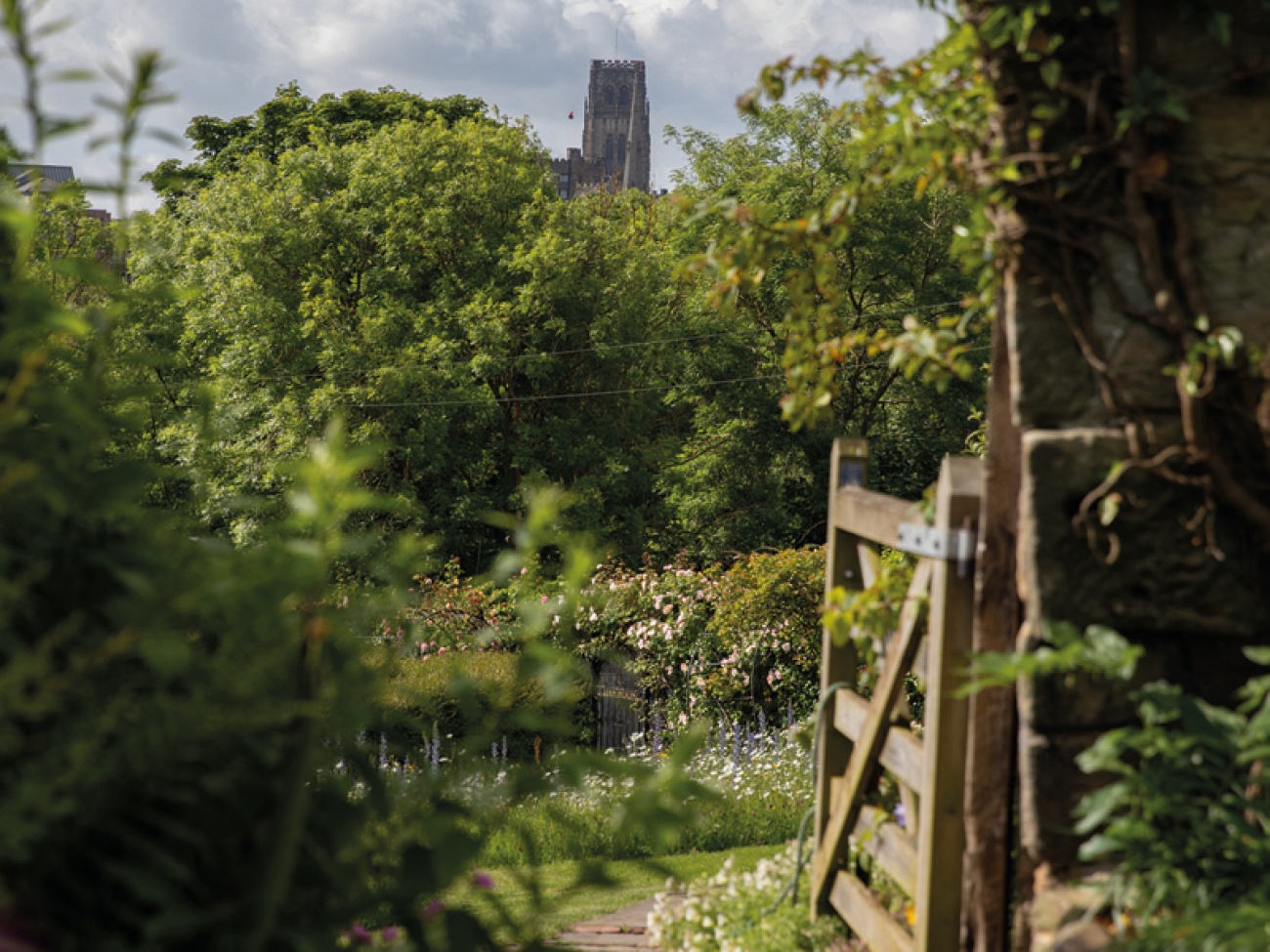 Where to Walk the North East's New Green Corridors including the Tyne ...