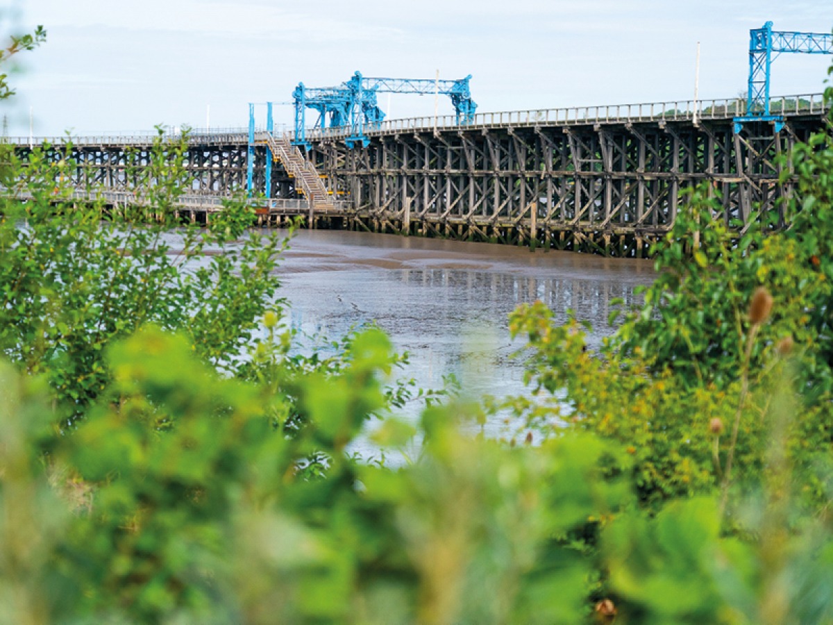 Where to Walk the North East's New Green Corridors including the Tyne ...