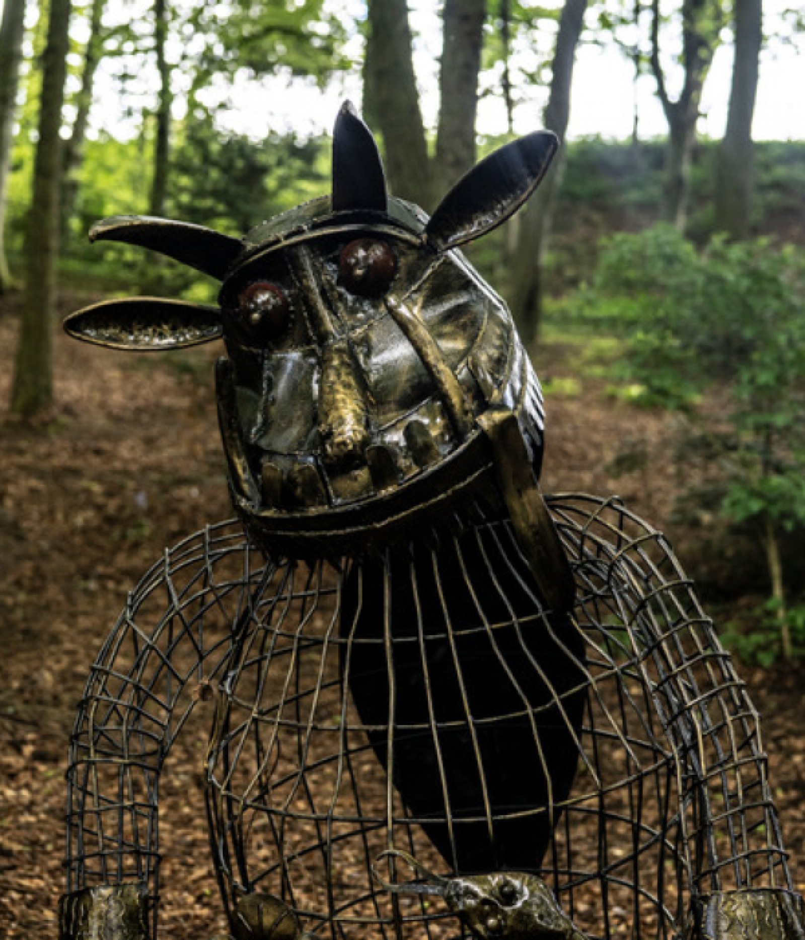 Graeme Hopper Artist, Blacksmith, Sculptor | Living North