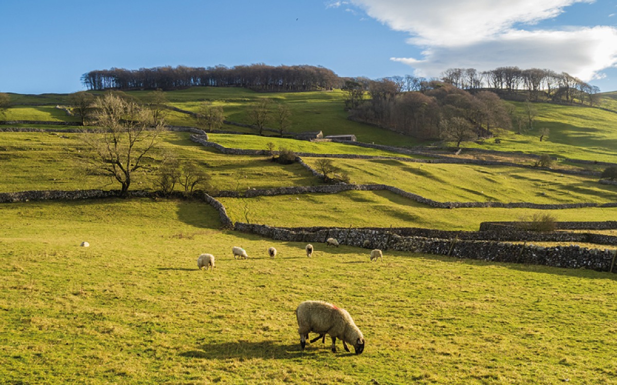 Visit Bradford the Town Named the Curry Capital of Britain | Living North