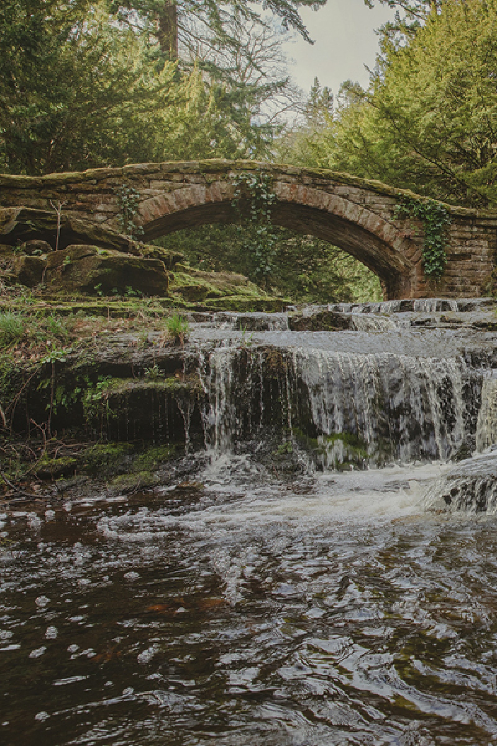 Explore the Stunning Grounds of Cragside for a Family-Friendly Day Out ...