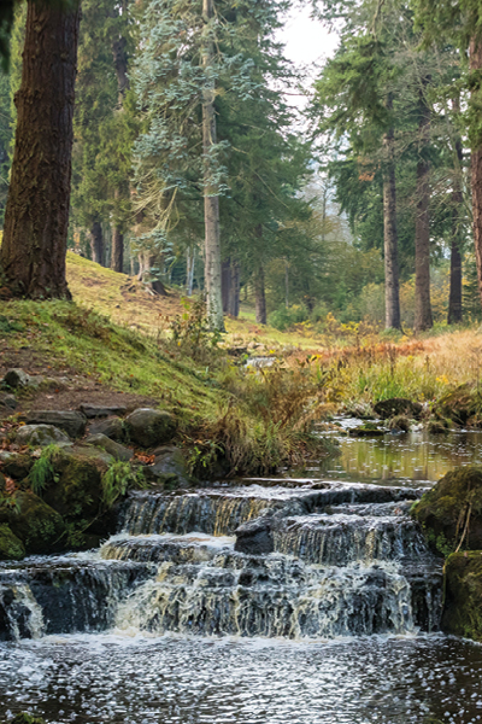 Explore the Stunning Grounds of Cragside for a Family-Friendly Day Out ...