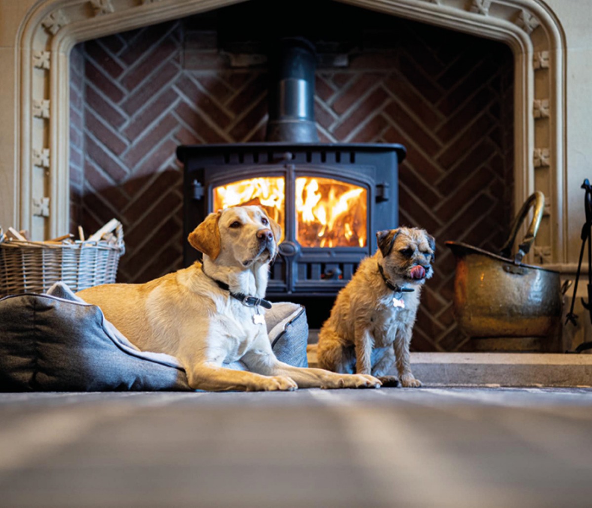 Lambley Viaduct, Featherstone Castle and the South Tyne Trail | Living ...