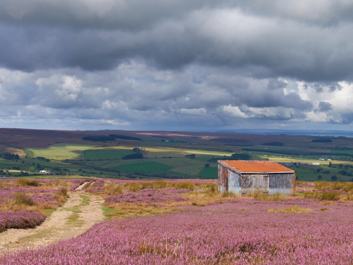 The Quarry Walk | Living North