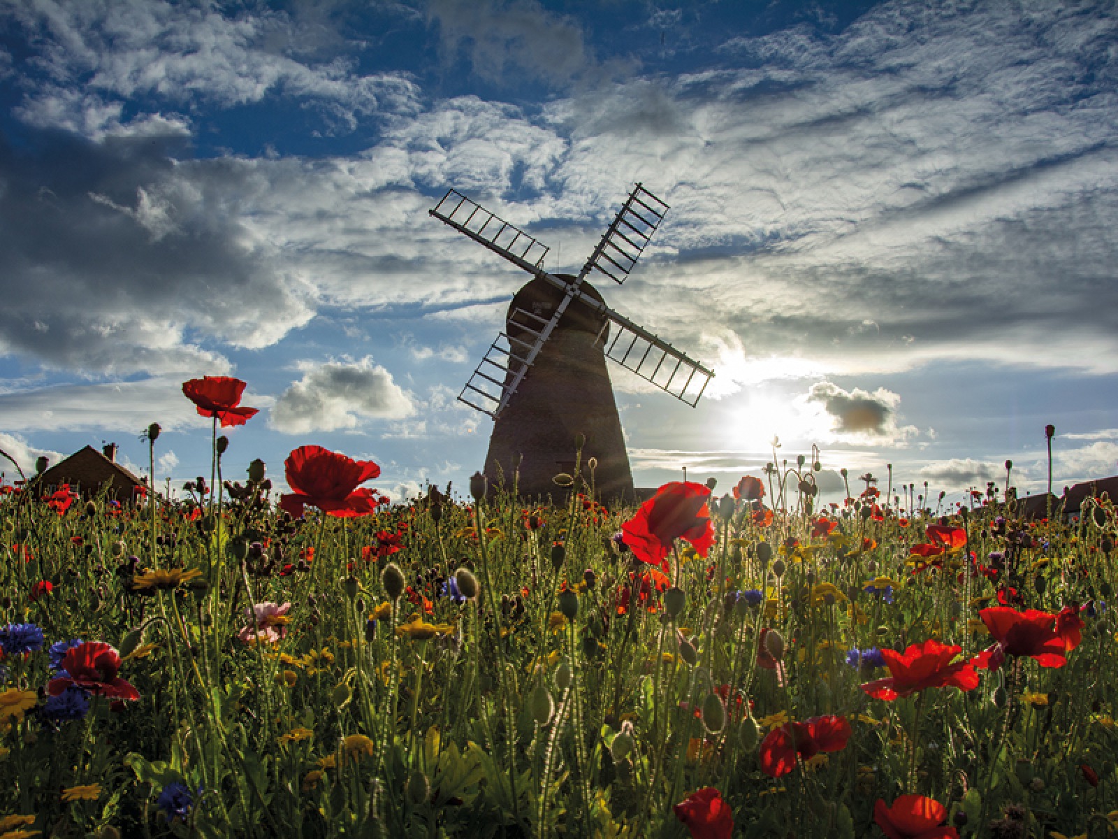 Things To Do and Places to Eat in Whitburn, Sunderland, Seaburn and ...