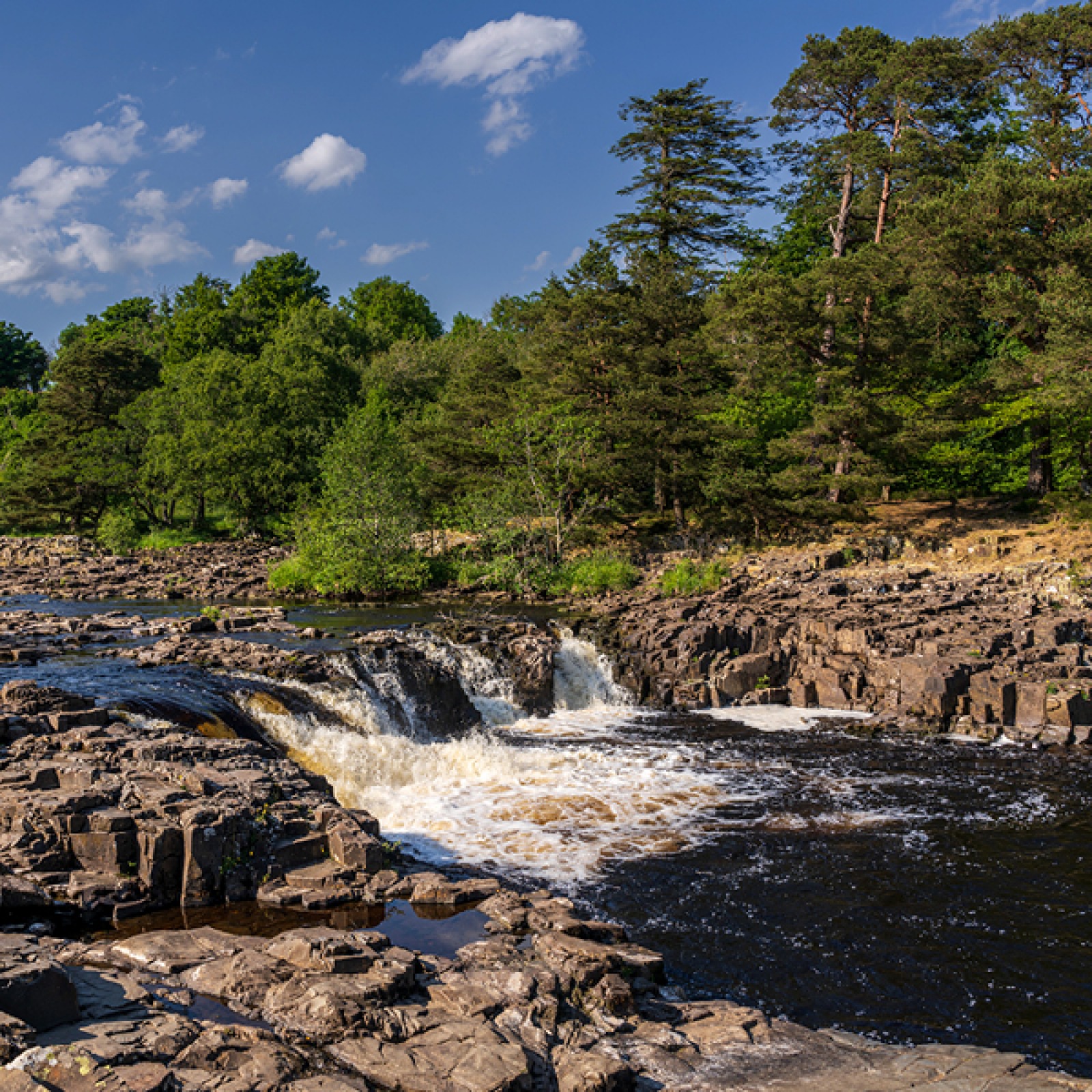 The Best Waterfalls to Visit in The North East Including Linhope Spout ...