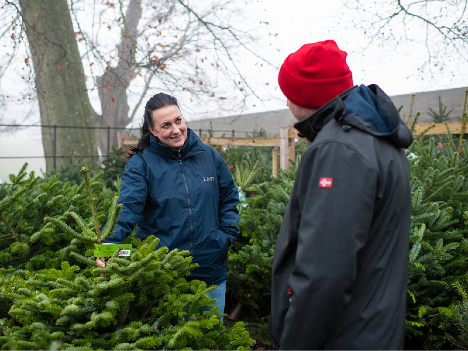 Review of The Plotter's Forest at Raby Castle and Estate at Christmas ...