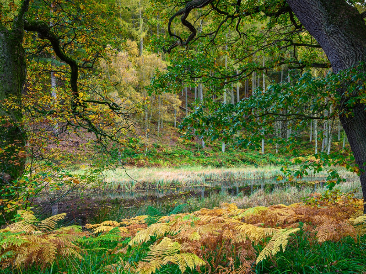The Best National Trust Walks for Autumn including Cragside, Allen ...